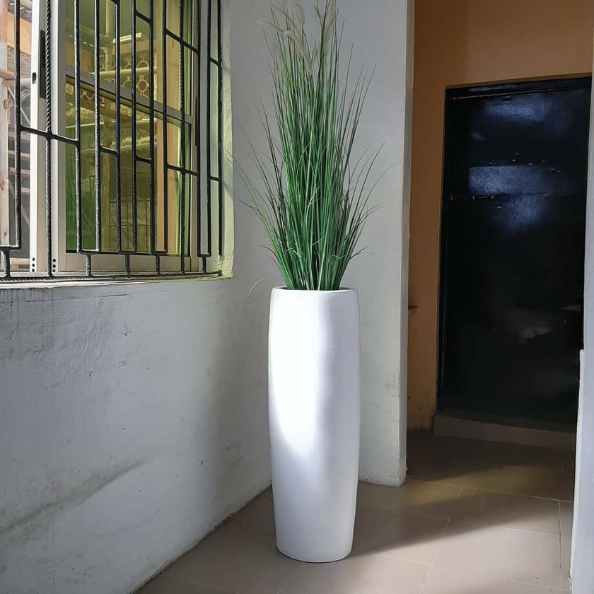 Tapered Cylinder + Reed Potted Plants | 80cm height - No:1 Suppliers Of ...